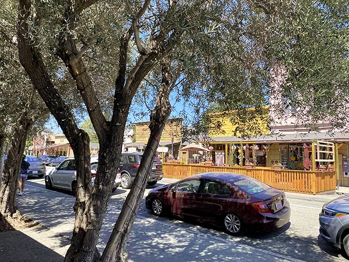 Local shops blend seamlessly with historic structures, proving commerce and preservation make excellent neighbors.