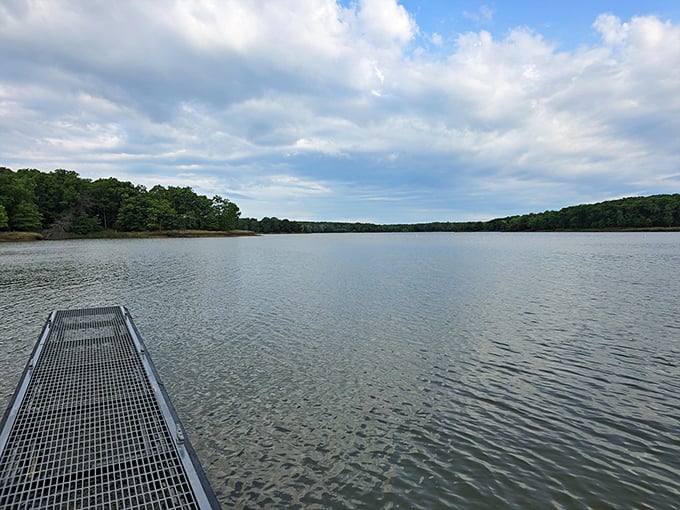 Mirror, mirror on the lake—reflecting clouds, trees, and the occasional fish jumping for joy. Nature's infinity pool, Missouri-style.