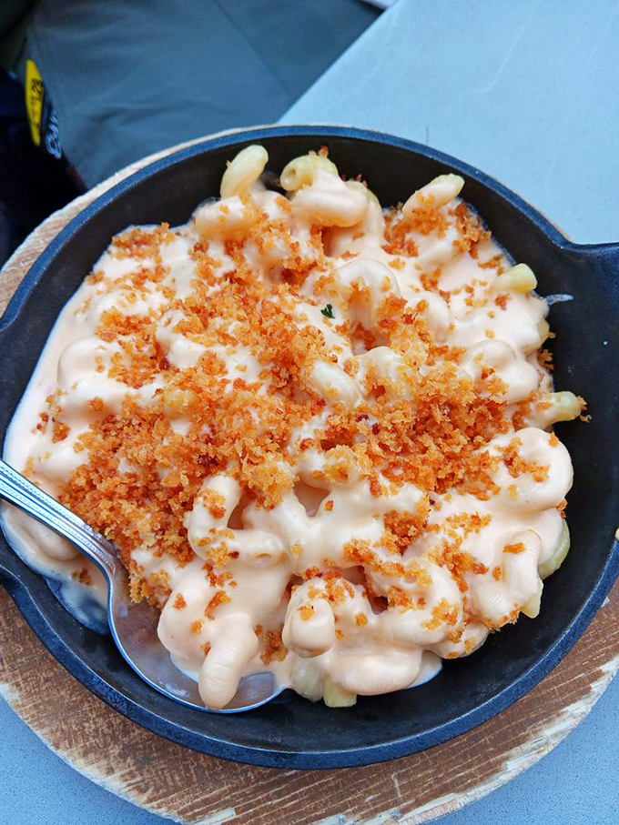 Mac and cheese that doesn't mess around—creamy, topped with crispy breadcrumbs. The kind of comfort food that makes you temporarily forget your problems.