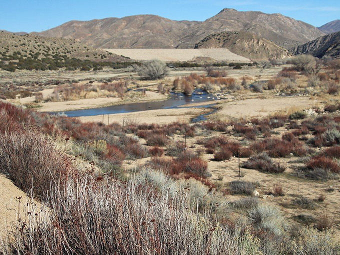 The Mojave River might play hide-and-seek underground, but here it emerges to create a desert oasis worth discovering.