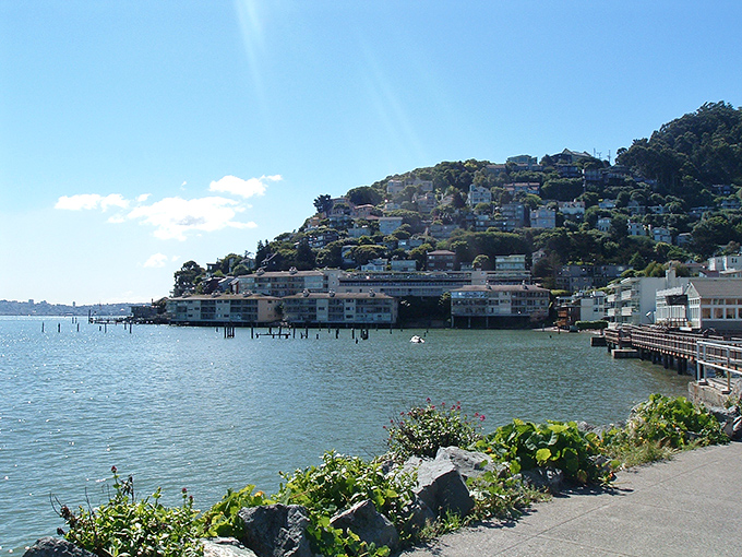 Homes cling to Sausalito's hillsides like colorful barnacles, creating a postcard-perfect scene that's been tempting San Franciscans to cross the bridge for decades.