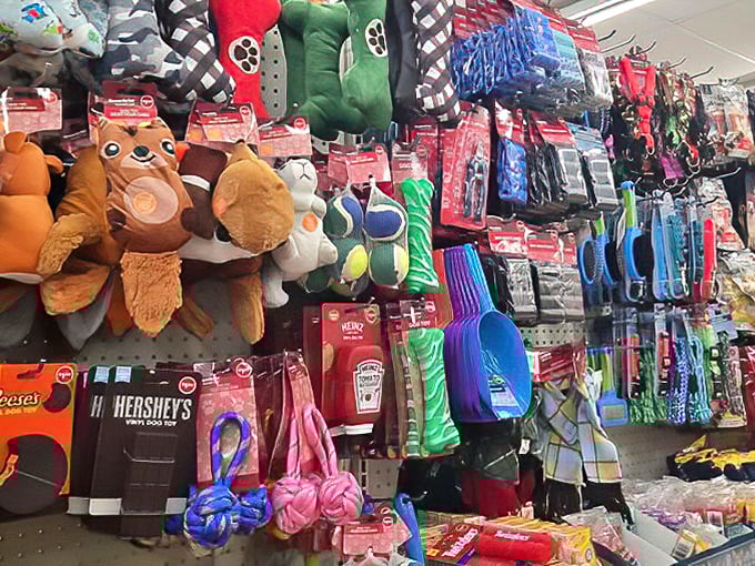 Plush pals and pet accessories line the walls – proof that showing Fido some love doesn't require emptying your savings account.
