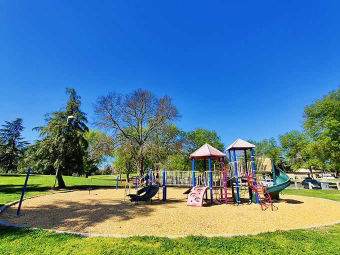 Playground equipment that doesn't require a second mortgage to visit—just one of Merced's family-friendly perks that keeps grandparents and grandkids equally delighted.