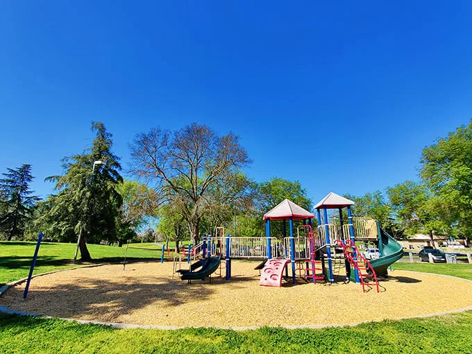 Playground equipment that doesn't require a second mortgage to visit—just one of Merced's family-friendly perks that keeps grandparents and grandkids equally delighted.