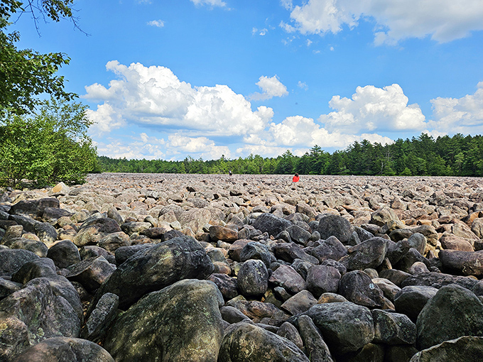 Boulder Field stretches out like nature's jigsaw puzzle—16 acres of "how did this get here?" that will have amateur geologists theorizing for hours.