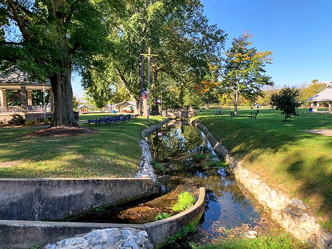 Shafer Park's gentle stream creates the soundtrack for lazy afternoon picnics – nature's version of ambient background music without the subscription fee.