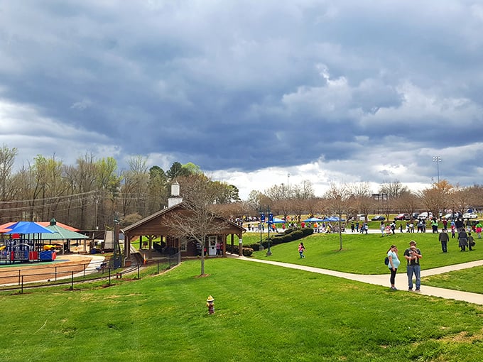 City parks in Shelby offer more than just green space—they're community gathering spots where generations connect through festivals and everyday moments.