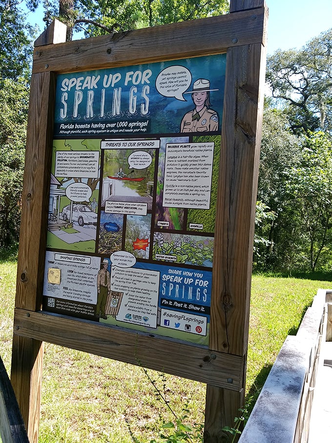 Conservation education never looked so engaging. This colorful display reminds us why speaking up for springs matters—these blue jewels need defending.