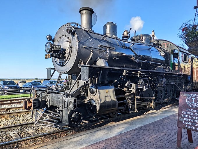 This mechanical marvel isn't just a train—it's industrial ballet. Every piston, valve, and steam release choreographed into a symphony of engineering genius.