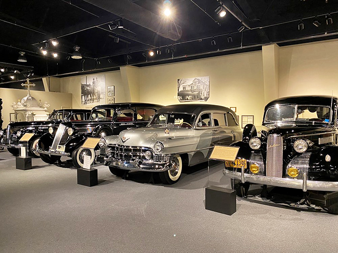 Detroit's finest had one final job—these gleaming vintage hearses showcase American automotive craftsmanship at its most dignified. Cadillac style for the final ride.