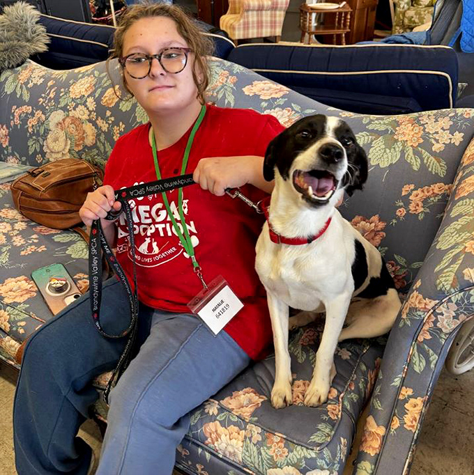 Even four-legged friends appreciate a good thrift shop sofa—this happy pup seems to have found his perfect match in floral upholstery.