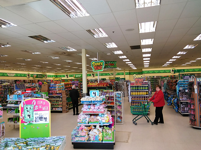 Shoppers navigate the well-stocked aisles with purpose. The universal dance of dollar store discovery transcends age and background.