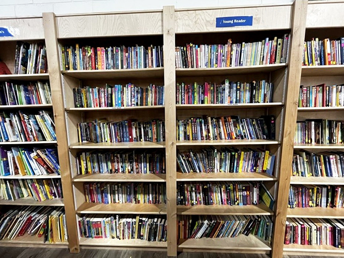 The Young Reader section could stock a small library. Parents rejoice: your kids' voracious reading habits won't bankrupt you here.