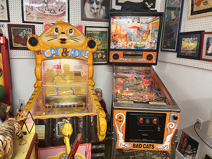 Even the arcade games here pay homage to our feline friends – the "Bad Cats" pinball machine practically purrs with vintage charm.