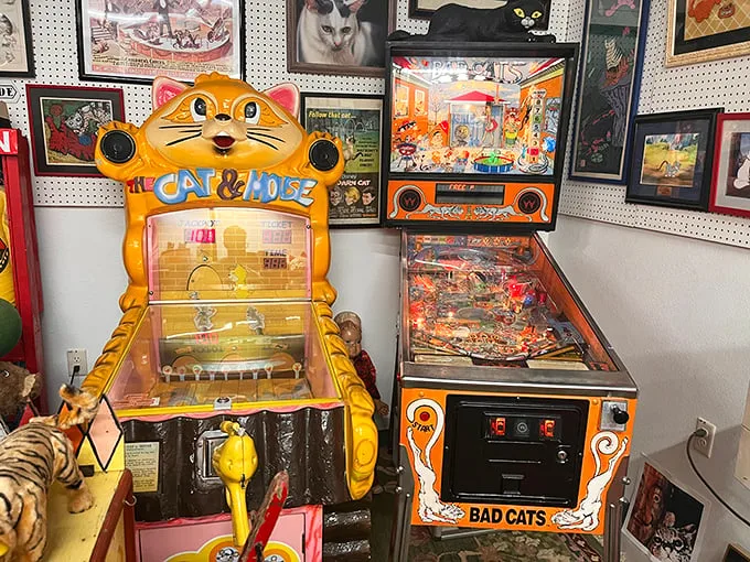 Even the arcade games here pay homage to our feline friends – the "Bad Cats" pinball machine practically purrs with vintage charm.