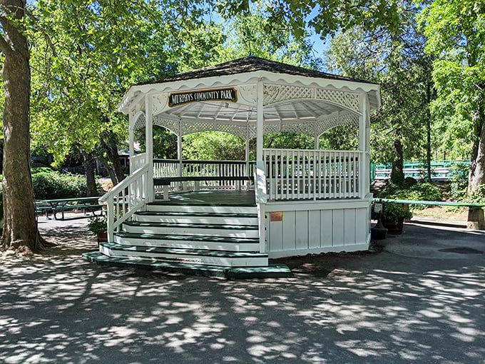 Every small town needs a gazebo where time stops and conversations actually happen without phones buzzing.