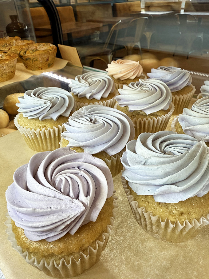 These cupcakes with their perfect frosting spirals aren't just pretty faces—they're the beauty pageant winners who also have PhDs in flavor.