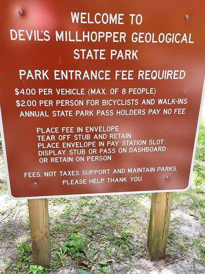For less than the price of a decent coffee, you can experience one of Florida's most surreal landscapes. Mother Nature's happy hour special!