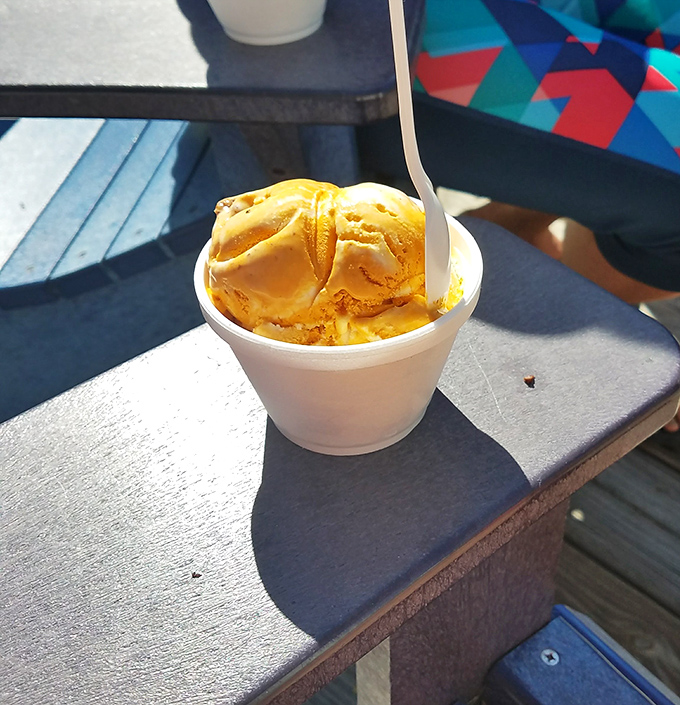 Island sunshine meets frozen perfection. This isn't just ice cream – it's the kind of sweet memory that follows you home long after vacation ends.