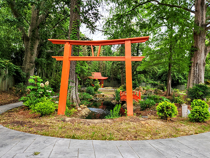 A tranquil Japanese garden creates an unexpected oasis of zen in the heart of South Carolina—proof that cultural appreciation knows no boundaries.