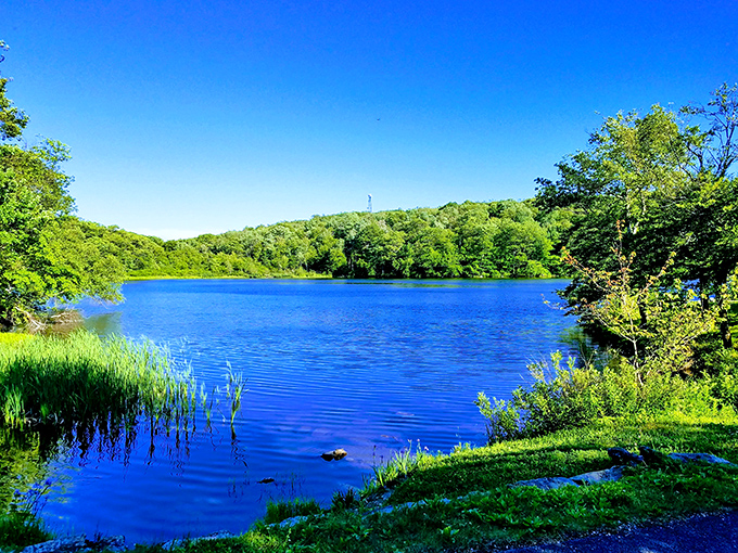 Onota Lake shimmers like a sapphire amid the Berkshire hills, offering waterfront recreation that elsewhere would come with a "millionaire residents only" sign.