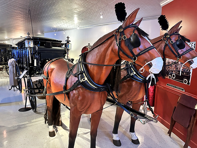These life-sized model horses stand forever ready to pull their solemn cargo—the equine equivalent of being frozen in time without the hay bills.