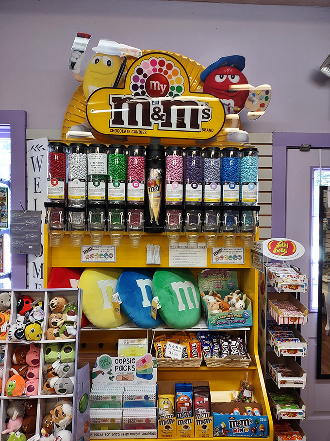 The M&M's display isn't just colorful—it's practically a shrine to chocolate-coated happiness. Those plush M&M characters have seen some things.