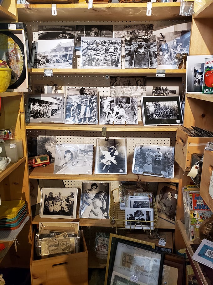 A photographic time capsule where strangers' memories become collectible artifacts. Yesterday's family moments, today's historical treasures.