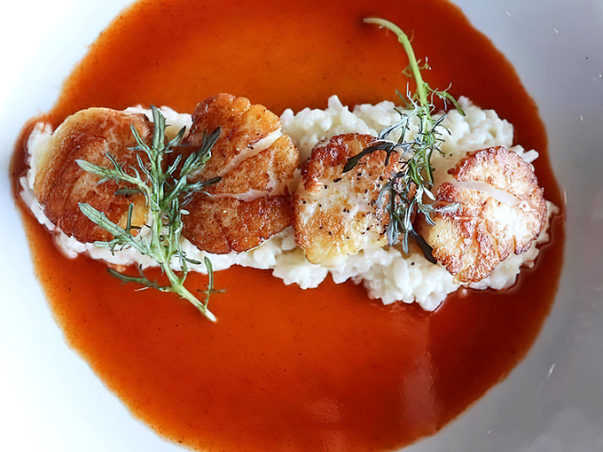 Scallops perched on risotto like royalty on a throne. The sauce isn't just poured—it's carefully introduced to the plate.