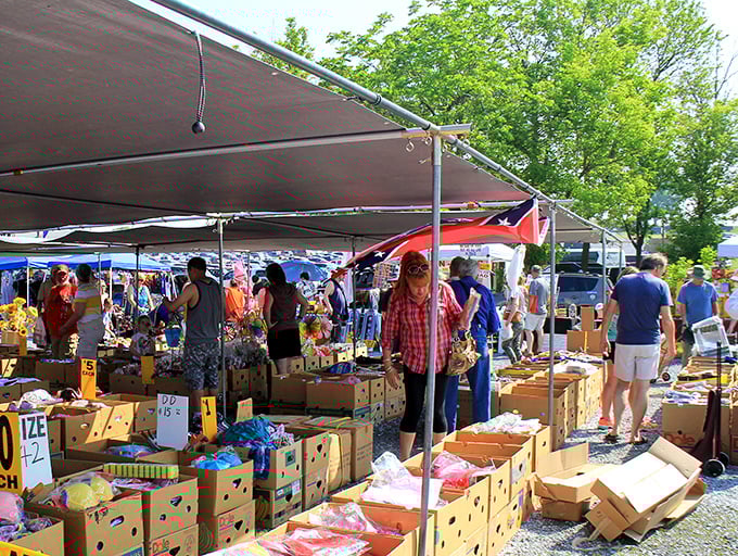 Cardboard boxes become retail displays in this no-frills shopping paradise where the thrill of the hunt outshines any fancy store fixture.