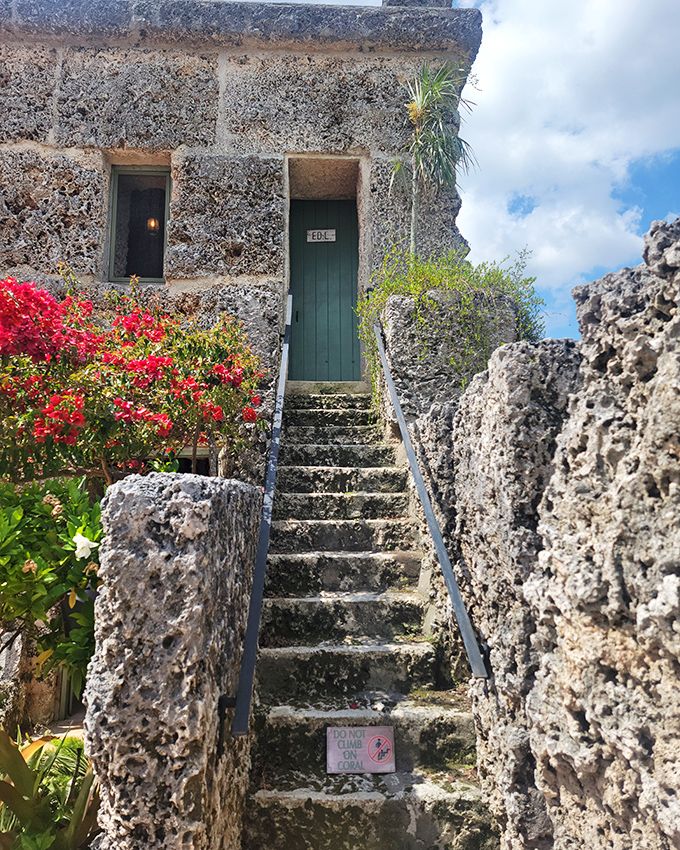 A stairway to… somewhere intriguing. These coral steps leading to Ed's quarters look like they belong in an Indiana Jones adventure.