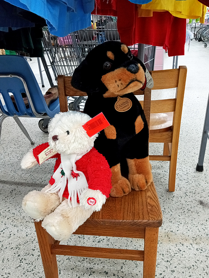 Stuffed animal adoption center! These plush pals sitting patiently on a wooden chair are just waiting for someone to give them a second chance at cuddle duty.