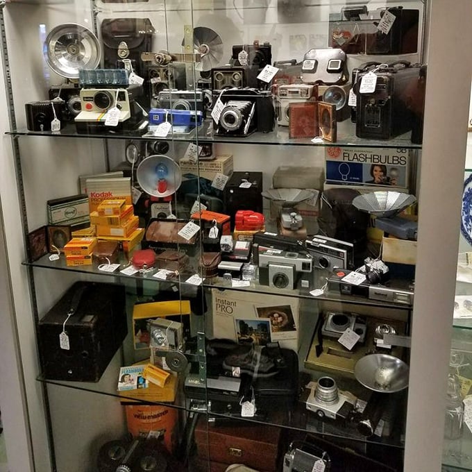 A time capsule of photography evolution behind glass. From Kodak Brownies to Polaroids, each camera once captured someone's precious memories.