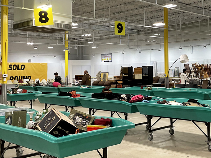 Green sorting bins reveal the organized chaos that makes treasure hunting feel like Christmas morning every day.