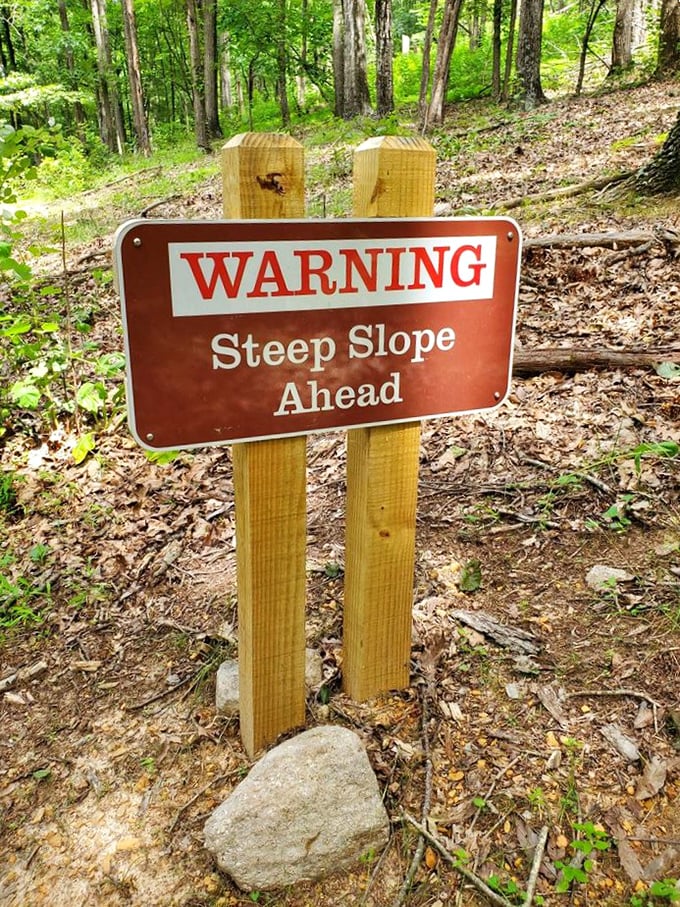 Trail signs that speak the truth – because honesty about steep climbs builds character and strong calves.