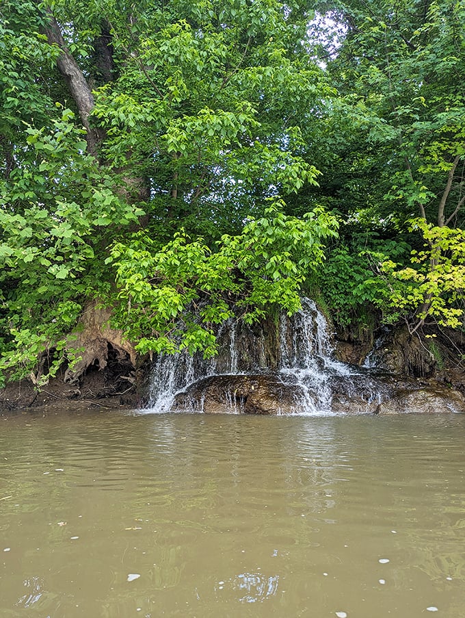 Nature doesn't need Instagram filters—this gentle waterfall cascading into the Muskingum River has been creating perfect moments since before selfies existed.