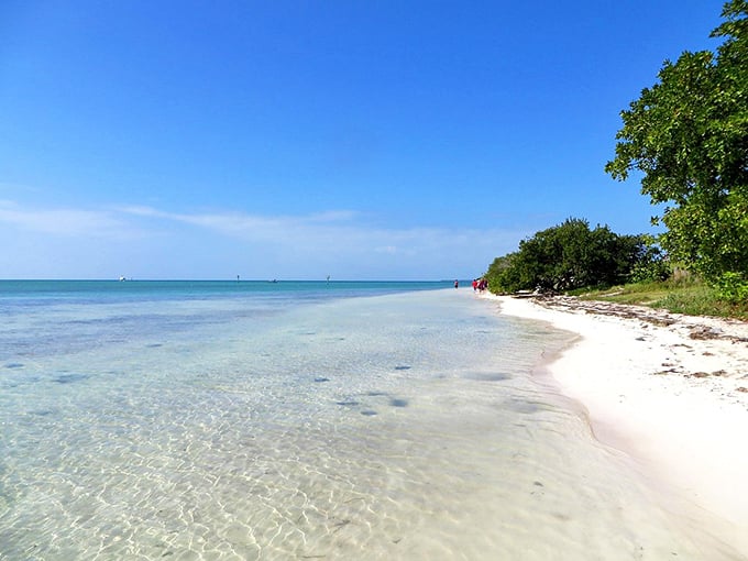 Keys living at its finest: where shallow, crystal-clear waters create the ultimate natural swimming pool experience.