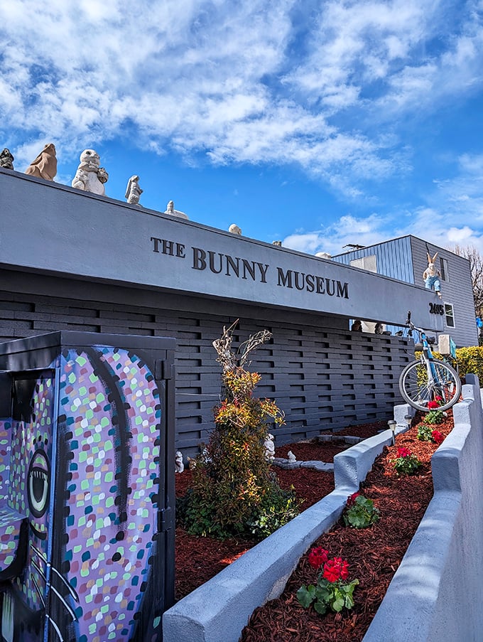 The Bunny Museum's exterior might seem ordinary, but inside lurks a rabbit collection that would make Elmer Fudd reconsider his life choices.