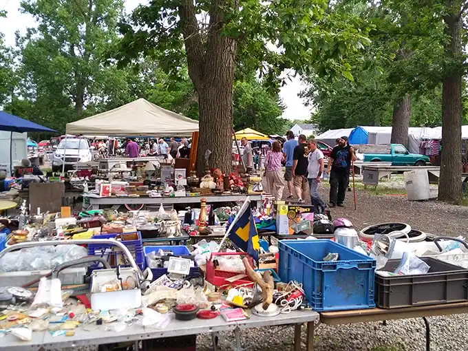 Greenlawn Grove Flea Market: Tables laden with possibilities under a canopy of trees. Every item here has a story—some better left untold!
