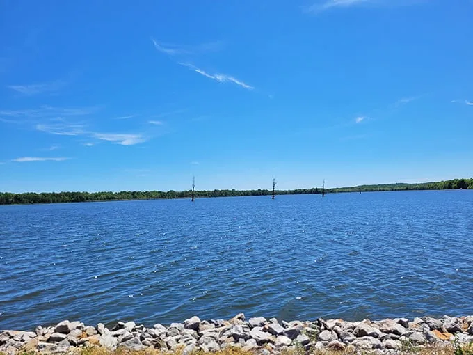 Reflective moments! Mermet Lake's calm surface captures the sky in perfect detail, creating a meditation spot worth driving for.