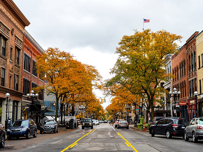 Fall colors frame Ann Arbor's historic streets – where college-town energy meets retirement-friendly prices in perfect harmony.