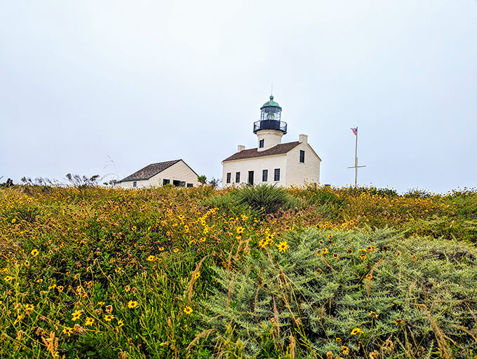 This historic beauty sits in Cabrillo National Monument like a crown jewel in nature's treasure box. 