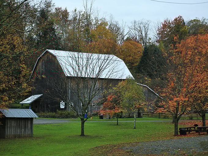 This historic barn has weathered more Pennsylvania seasons than most of us have had birthday cakes, and looks better for it.