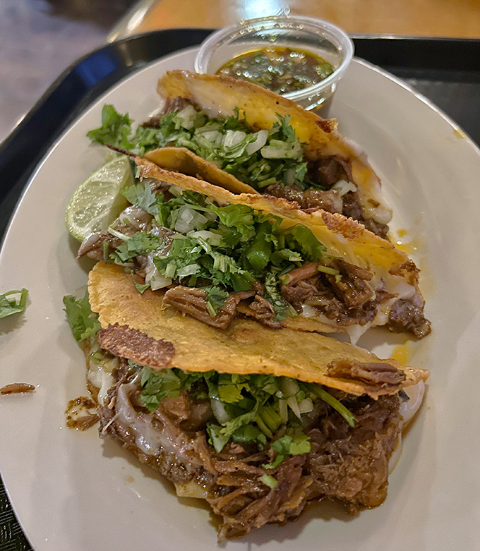These birria tacos aren't just crispy—they're the kind of crunchy that makes strangers at nearby tables turn with envy.