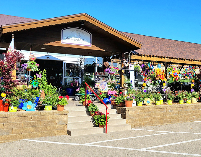 Brenda's Blumenladen explodes with color like a painter's palette gone wild – Swiss tradition meets Midwest gardening enthusiasm.
