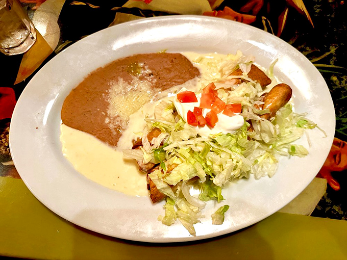 Some plates tell a story—this one narrates a delicious tale of beans, cheese, and perfectly seasoned protein under a blanket of melted goodness.