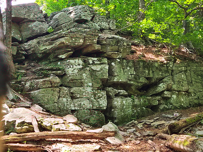 Ancient rock formations tell geological stories older than your favorite dad jokes. Nature's architecture at its most impressive.