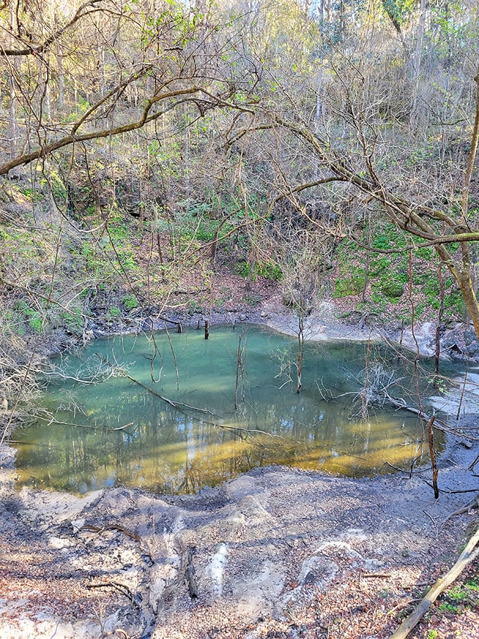 The sinkhole's emerald pool reflects the sky above – nature's own infinity pool, just with more geological significance and fewer Instagram influencers.