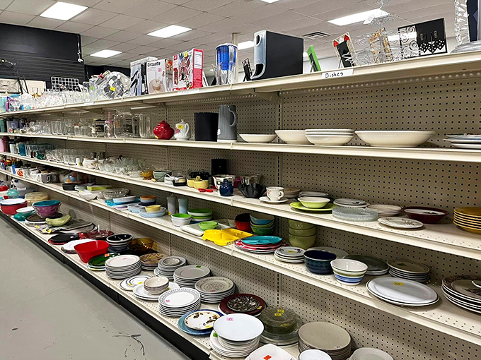 Colorful plates and bowls stand ready for adoption, each with stories of dinner parties and holiday meals waiting to be continued.
