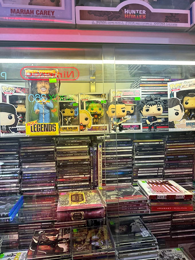 Pop culture paradise for the entertainment junkie. From forgotten albums to collectible figurines—it's like your childhood bedroom exploded in the best possible way.